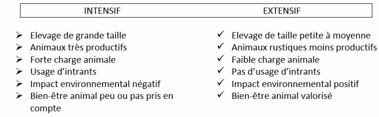 Elevage intensif / Elevage extensif – Le Développement Durable, on s'y ...