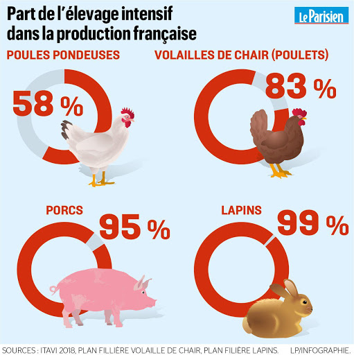 Elevage intensif / Elevage extensif – Le Développement Durable, on s'y ...