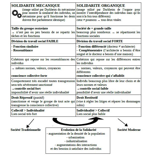 Cours : 1_ Comment les formes de la solidarité sociale évoluent-elles ...